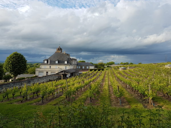 4 vignerons à visiter dans la vallée de la Loire - Vins du monde