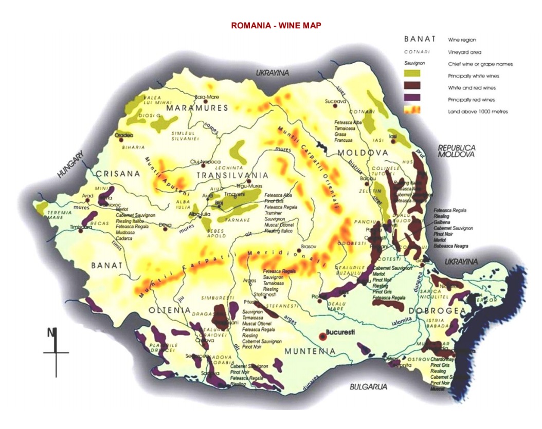 La surprise des vins roumains - Vins du monde