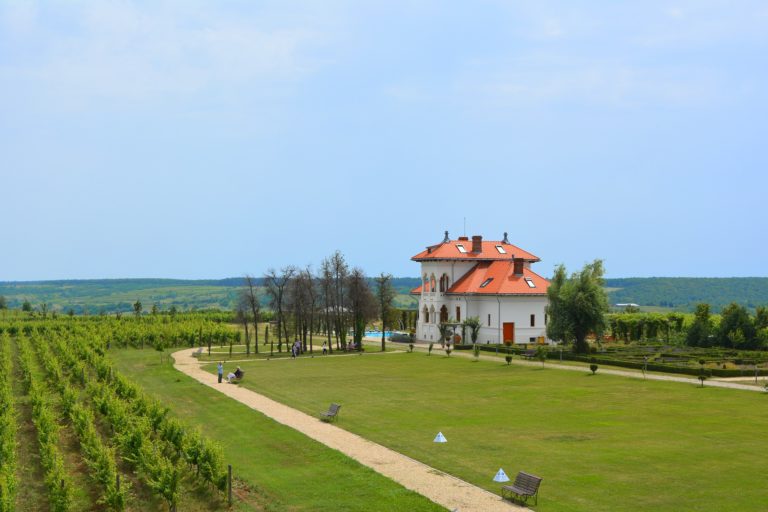 La surprise des vins roumains - Vins du monde